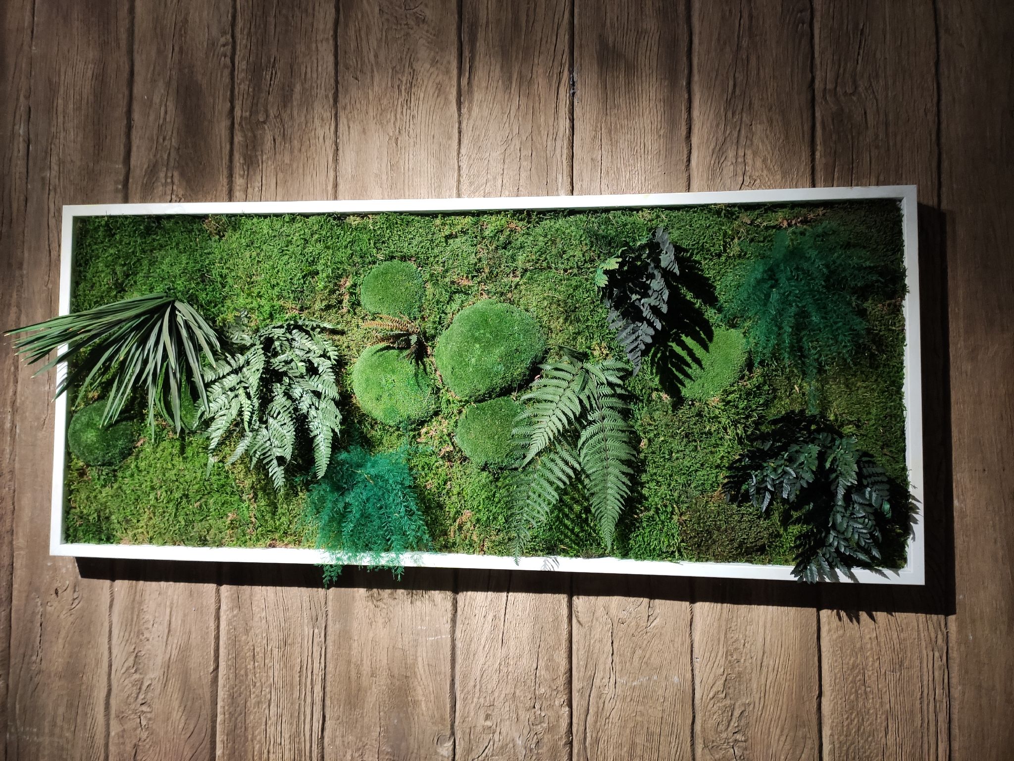 Hochwertige konservierte Moosbilder als dekorative Wandgestaltung