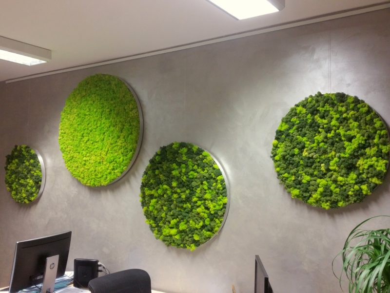 Moosbilder - Wandgestaltung aus echtem Moos für Ihr Zuhause